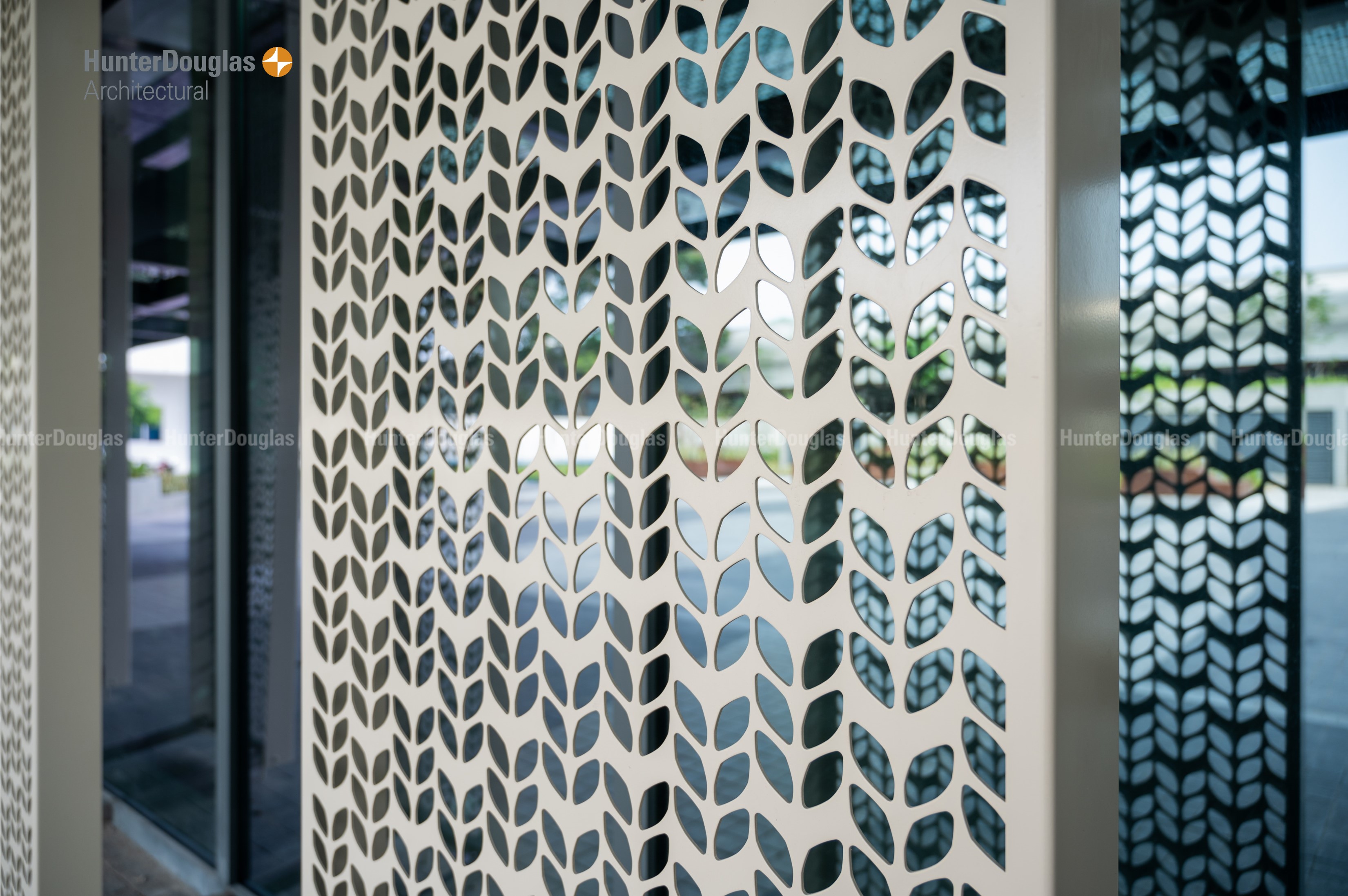 Project - 越南正大办公室